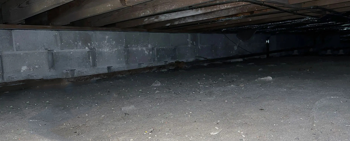 Complete Guide to Crawl Space Repair Solutions